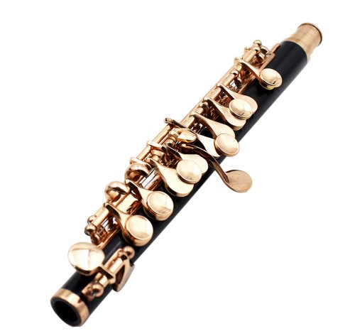 Flet poprzeczny piccolo strój C - GOLD - 7408030275 - oficjalne ...