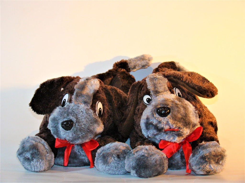 KAPCIE psy 38 39 pluszaki zwierzaki maskotki pies - 7019987632 ...